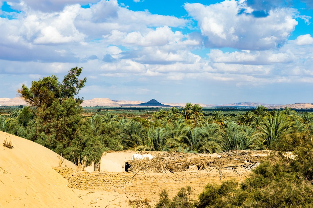 The Bahariya Oasis – Visit the natural rich oasis in the Western Desert
