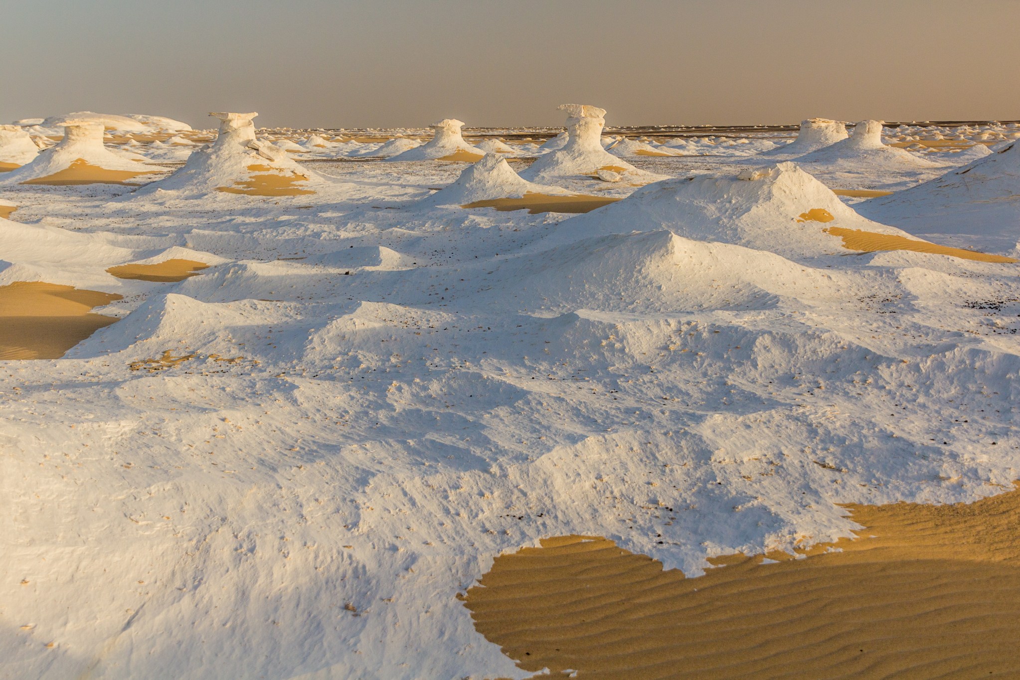 The White Desert – Visit the natural rich oasis in the Western Desert